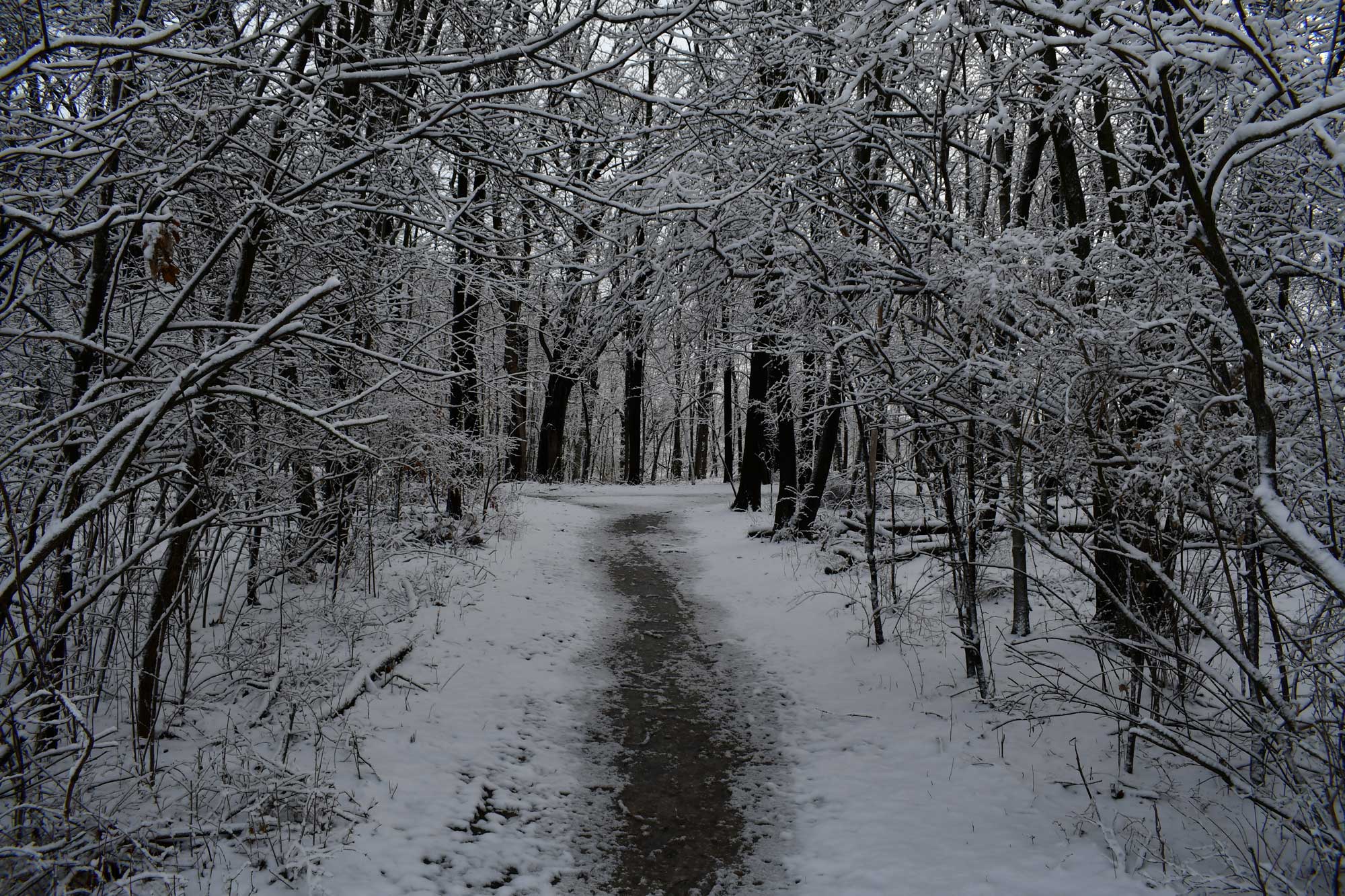 Wander at Will: Hit the trails for a hike to cure the winter doldrums ...