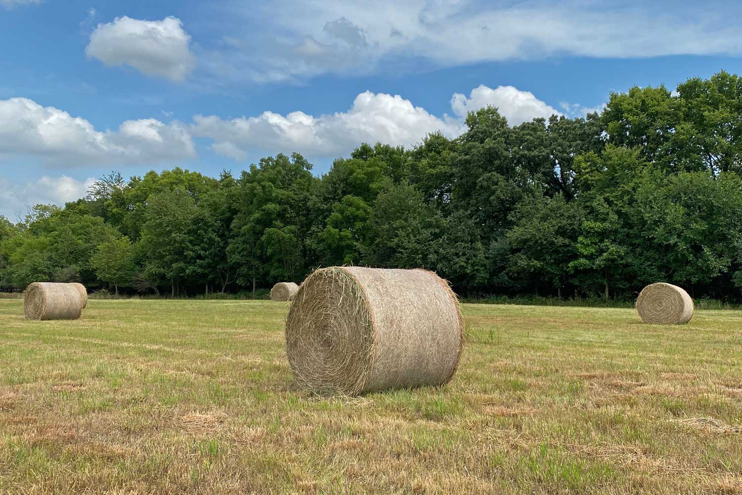 Lower Rock Run Preserve | Forest Preserve District of Will County